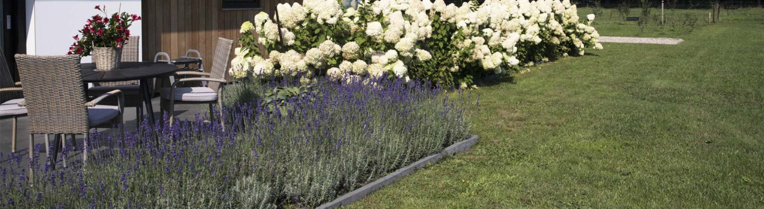 Over ons - B&B Onder de Kastanje